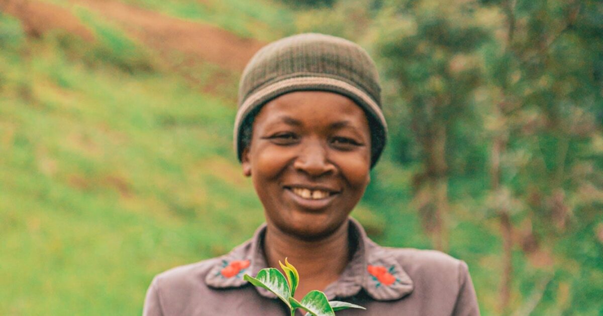 Rymax Lubricants Rwanda | Rymax Lubricants itera ibiti 898 mu Rwanda…